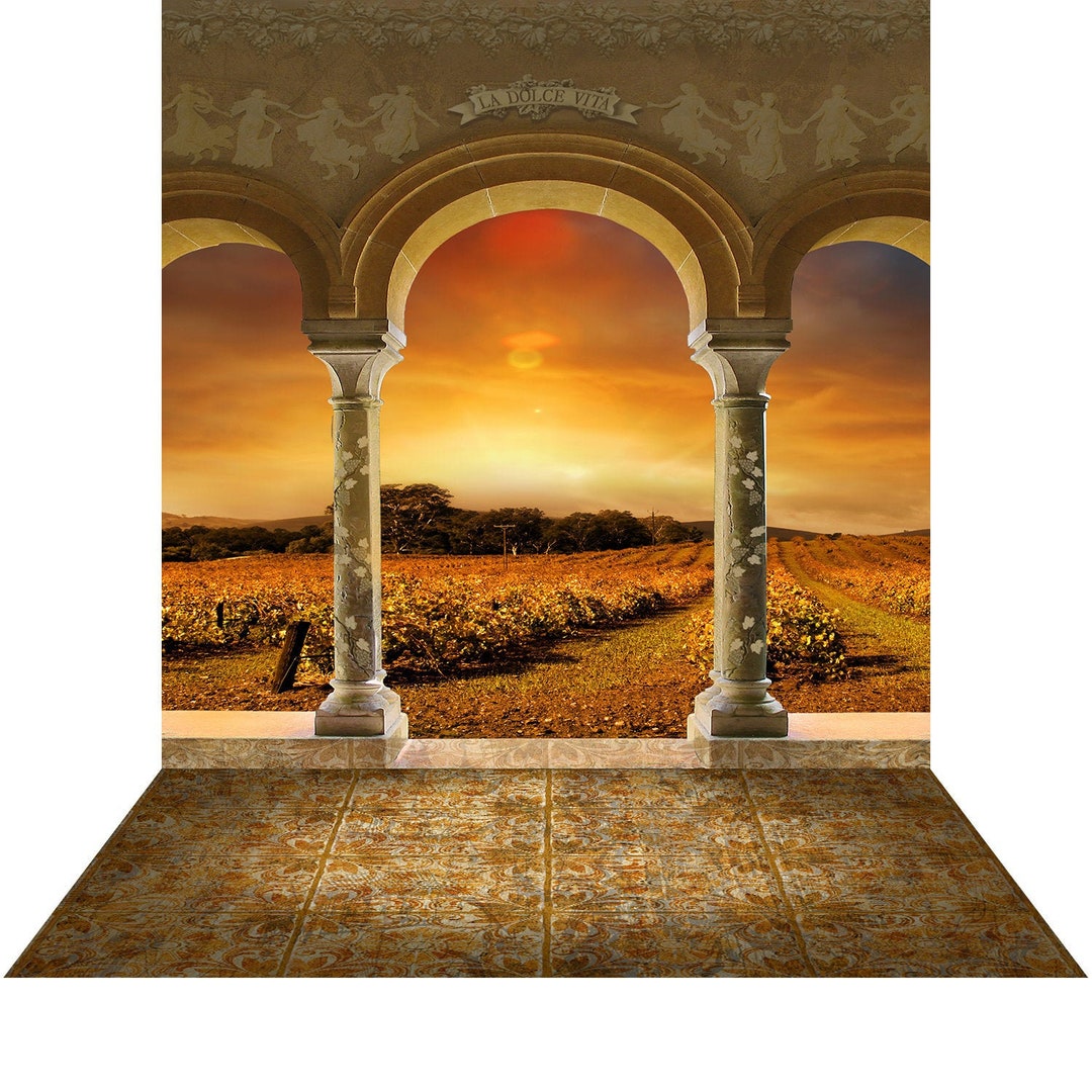 Tuscan Sunset Backdrop, Vineyard Arched Portico Prom Dance Party Decor ...