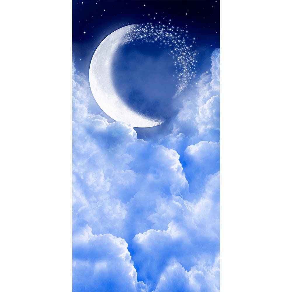 Moon Wedding Backdrop Photo Booth Stars Bridal Shower | Etsy