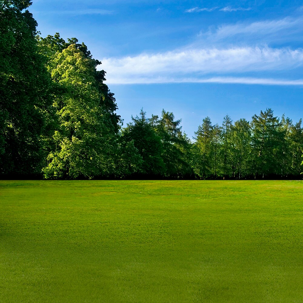 Sports Park Backdrop, Generic Field Background, Municipal Park, Outdoor ...