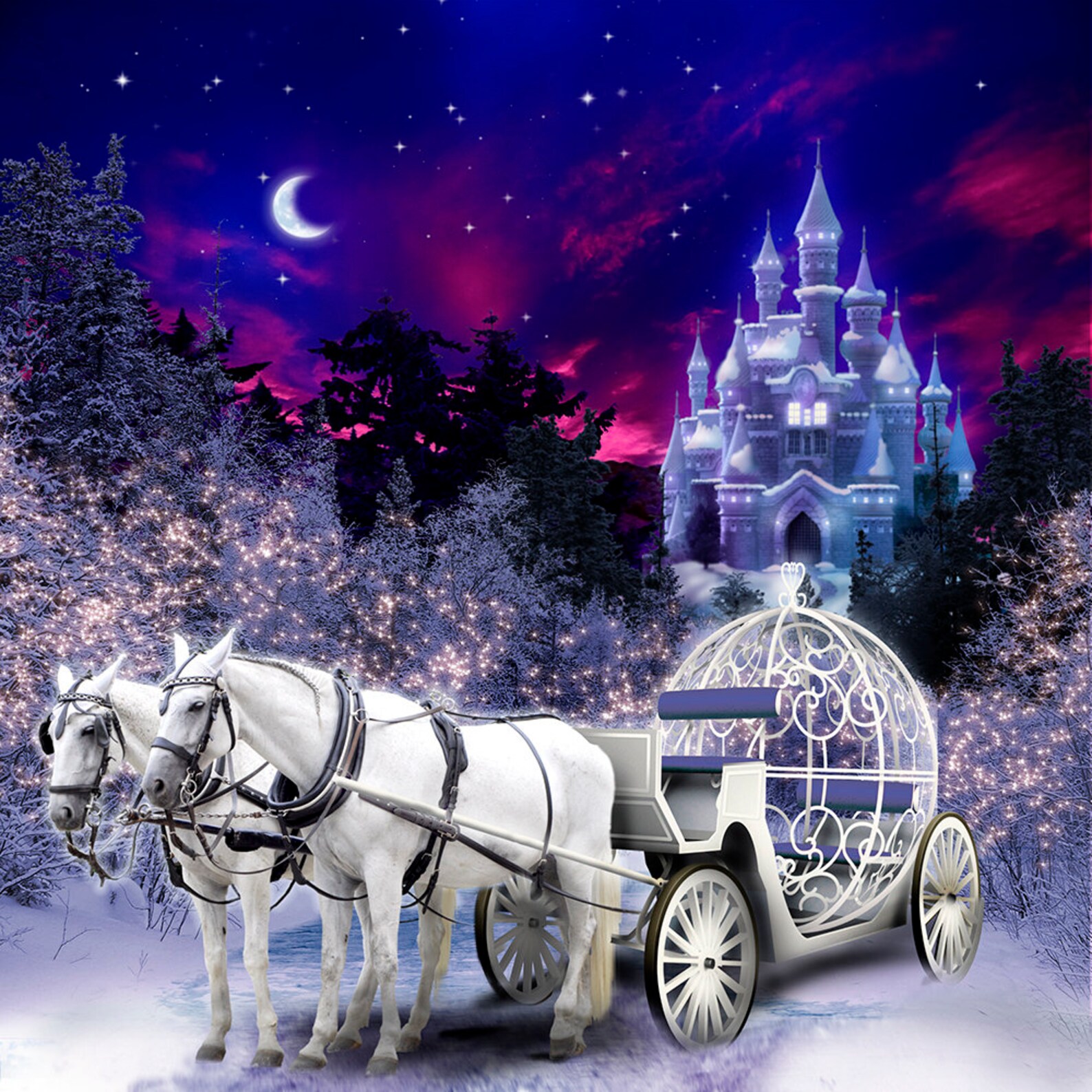 Cinderella Castle Christmas Backdrop With Snow & Lights a - Etsy