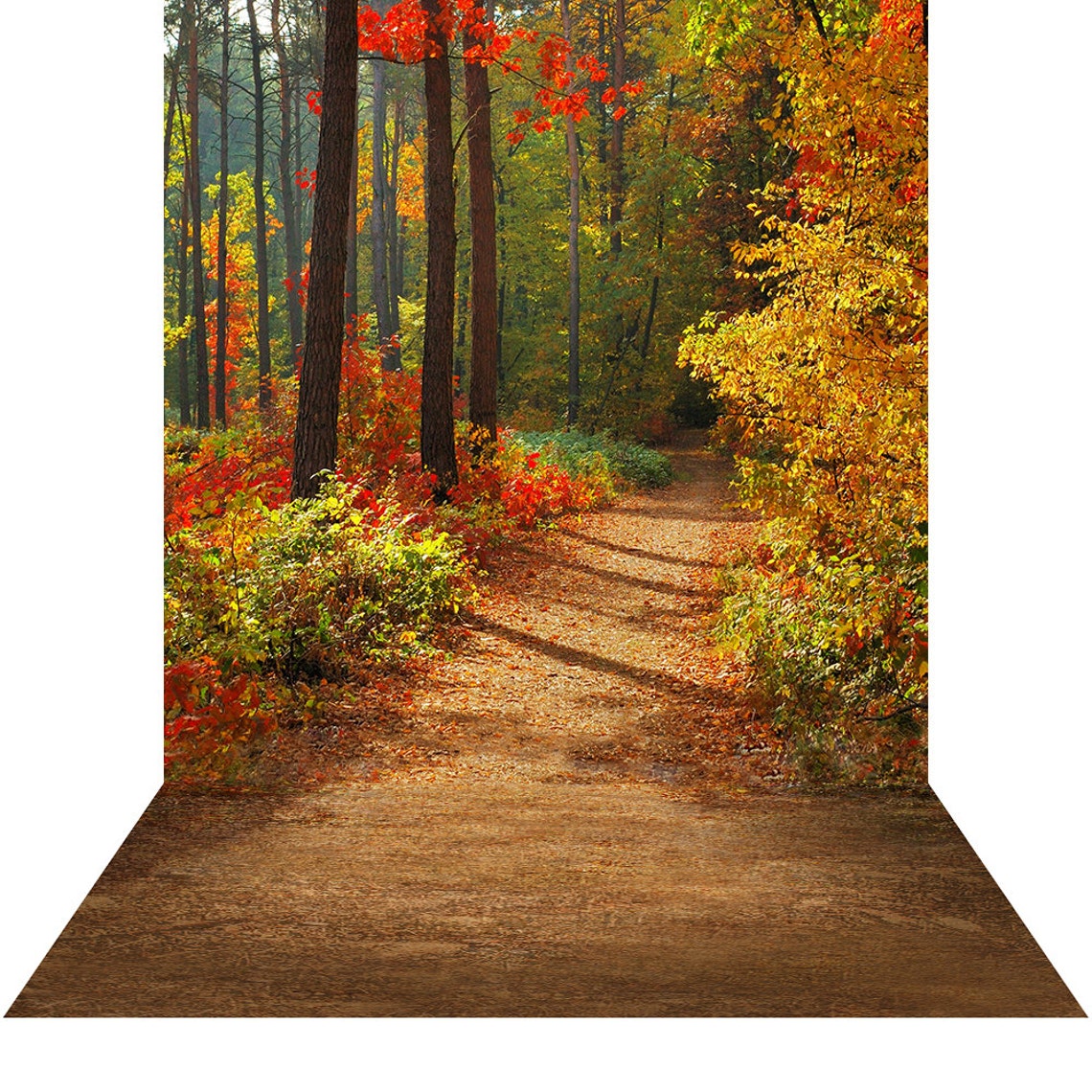 Autumn Fall Woods Outdoor Backdrop Path Trail Forest - Etsy