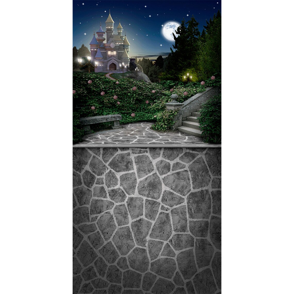 Castle in Magic Kingdom Backdrop With Terrace Full Moon Prom - Etsy