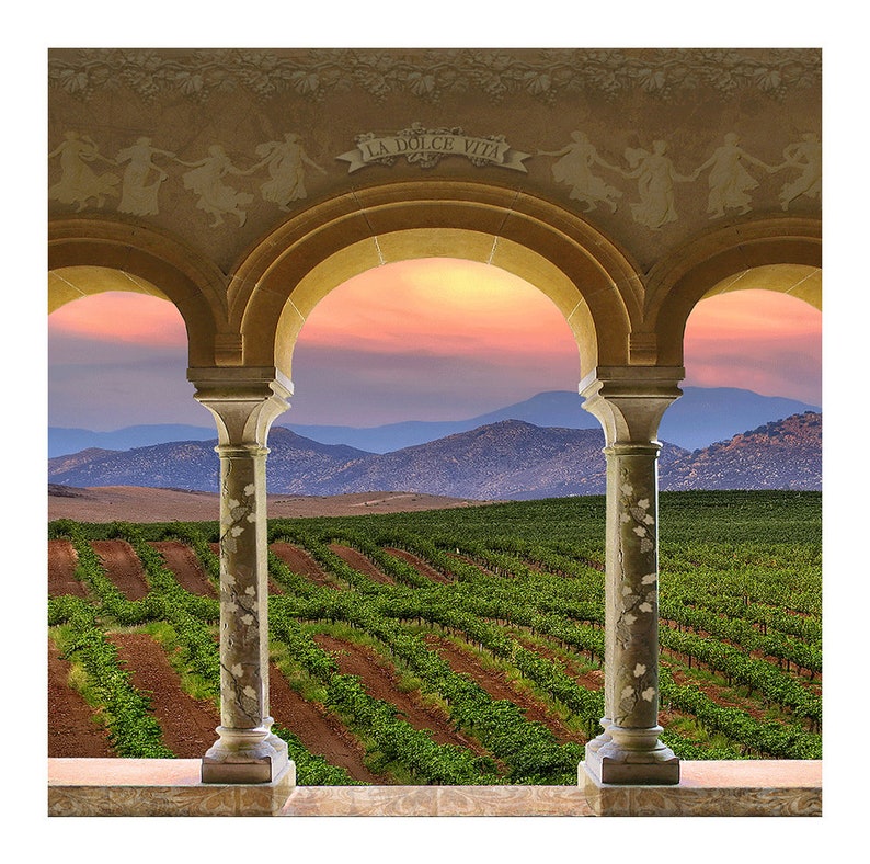 Wine Country Vineyard Backdrop, Wedding Photo Booth, Prom Dance - Etsy