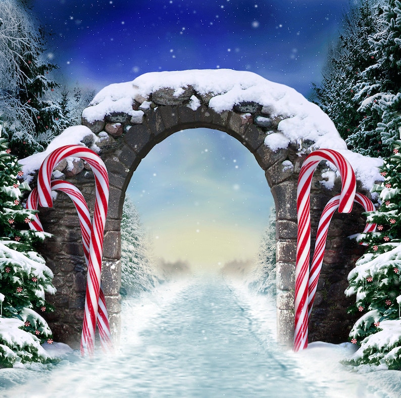 Candy Cane Personalized Party Decor Christmas Photo Booth - Etsy