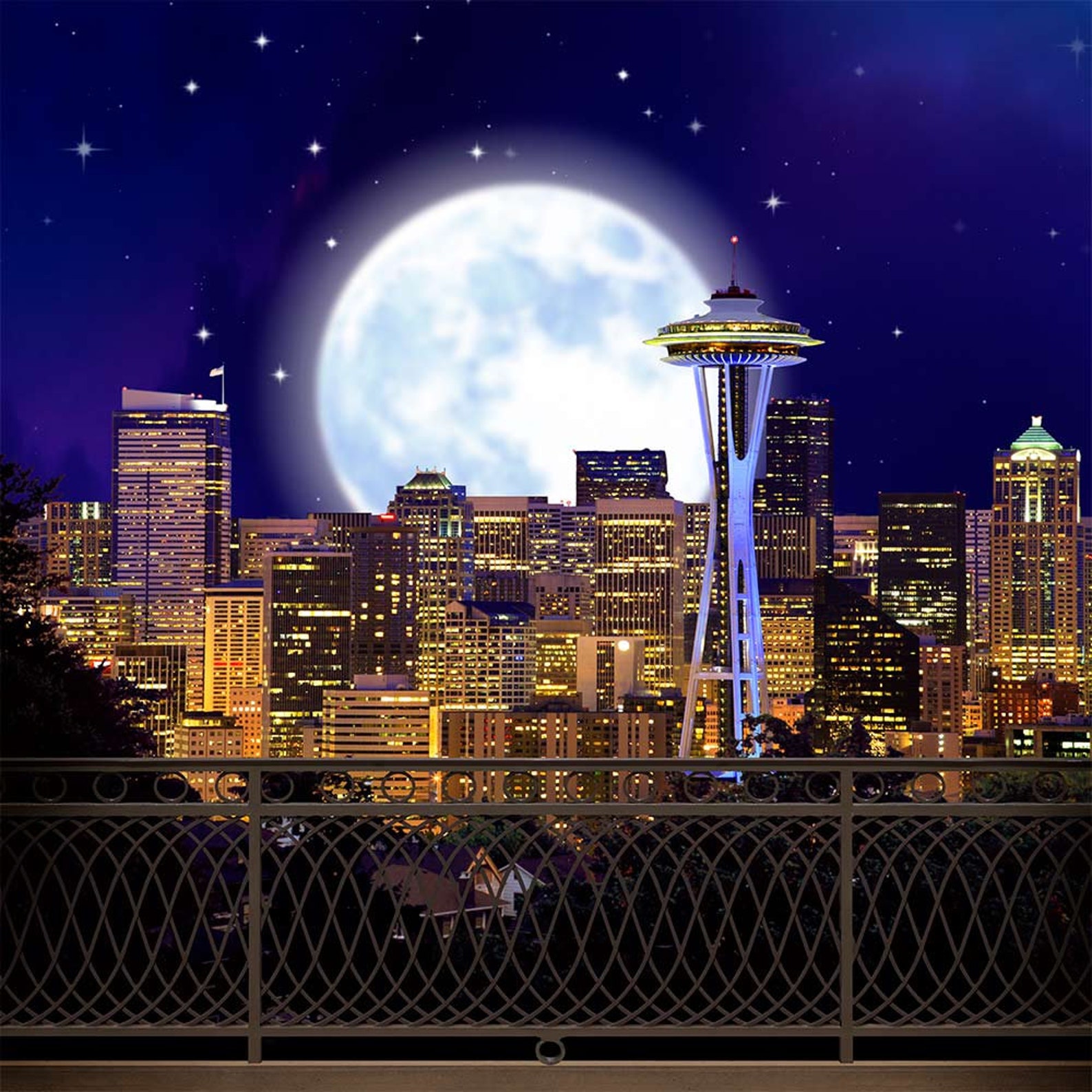 Seattle Skyline at Night Photo Backdrop Space Needle With | Etsy