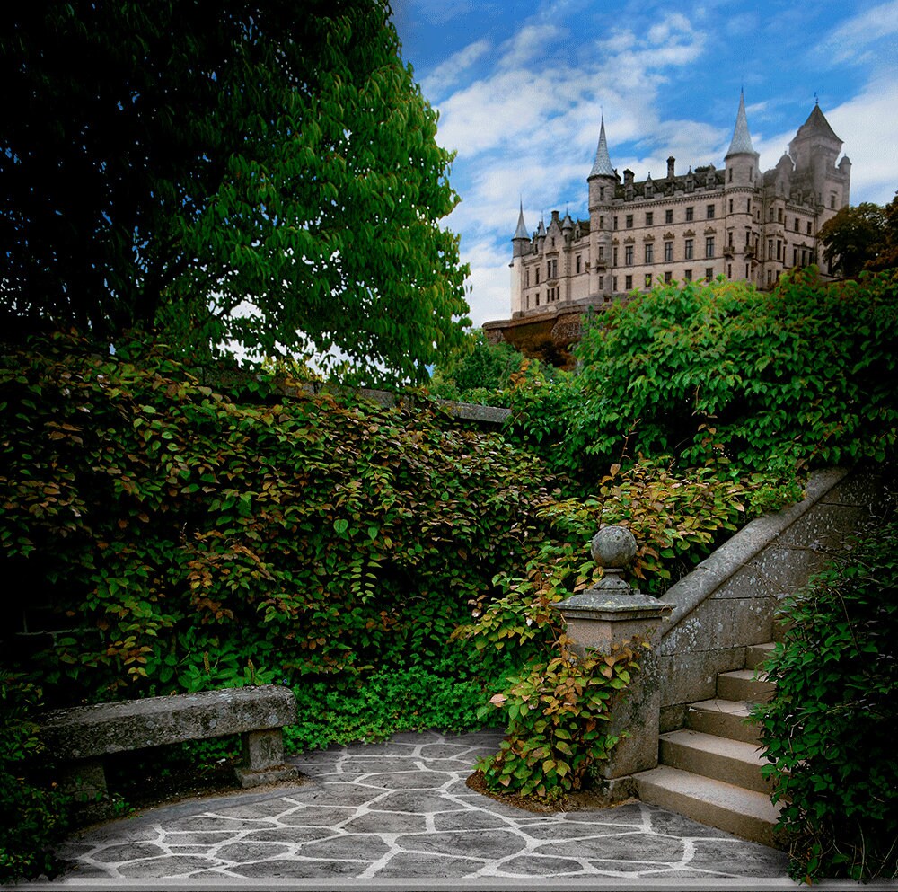 Castle Steps Backdrop Court Party Decor Castle Background - Etsy