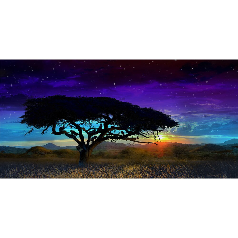 Wakanda African Sunset Fabric Photo Backdrop, Party Decoration - Etsy
