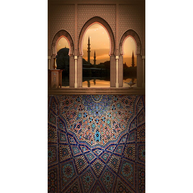 Aladdin Arabian Photo Backdrop Prop Jasmine Party - Etsy Canada