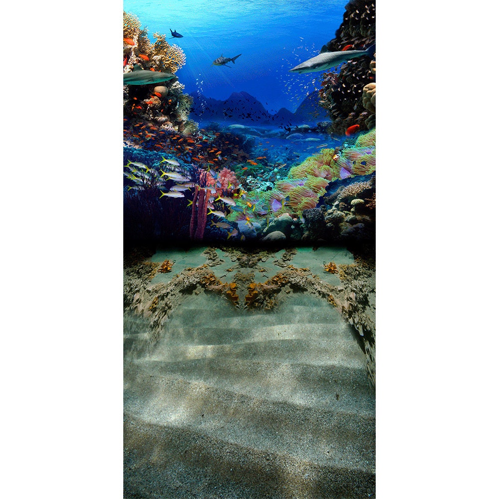 Shark Coral Reef Ocean Backdrop Underwater Backdrop | Etsy