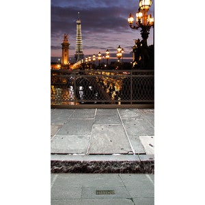 Paris Eiffel Tower Photo Backdrop, Party Photography Booth - Etsy