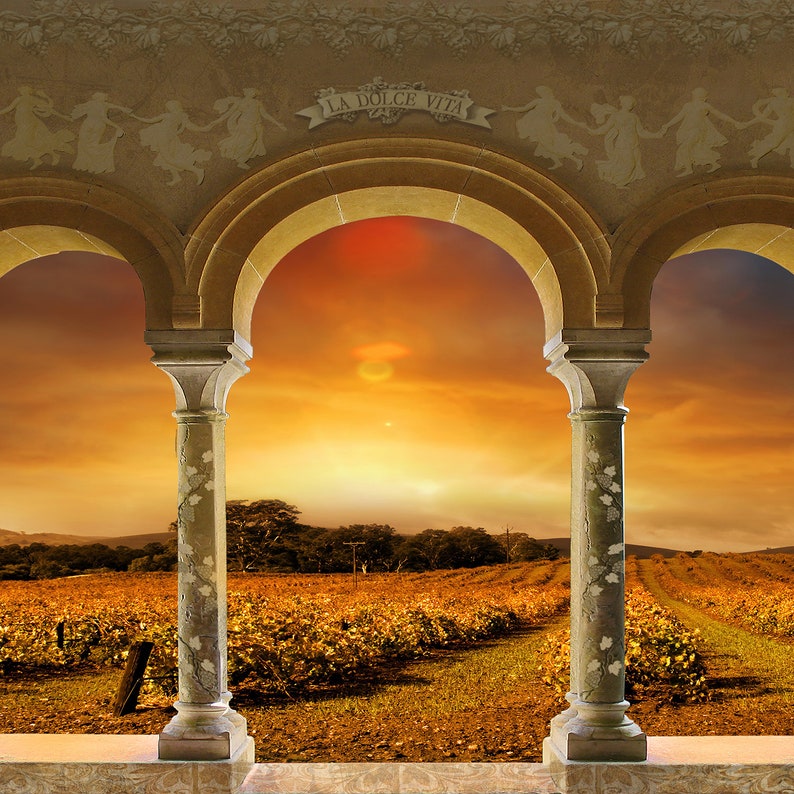 Tuscan Sunset Backdrop Vineyard Arched Portico Prom Dance - Etsy