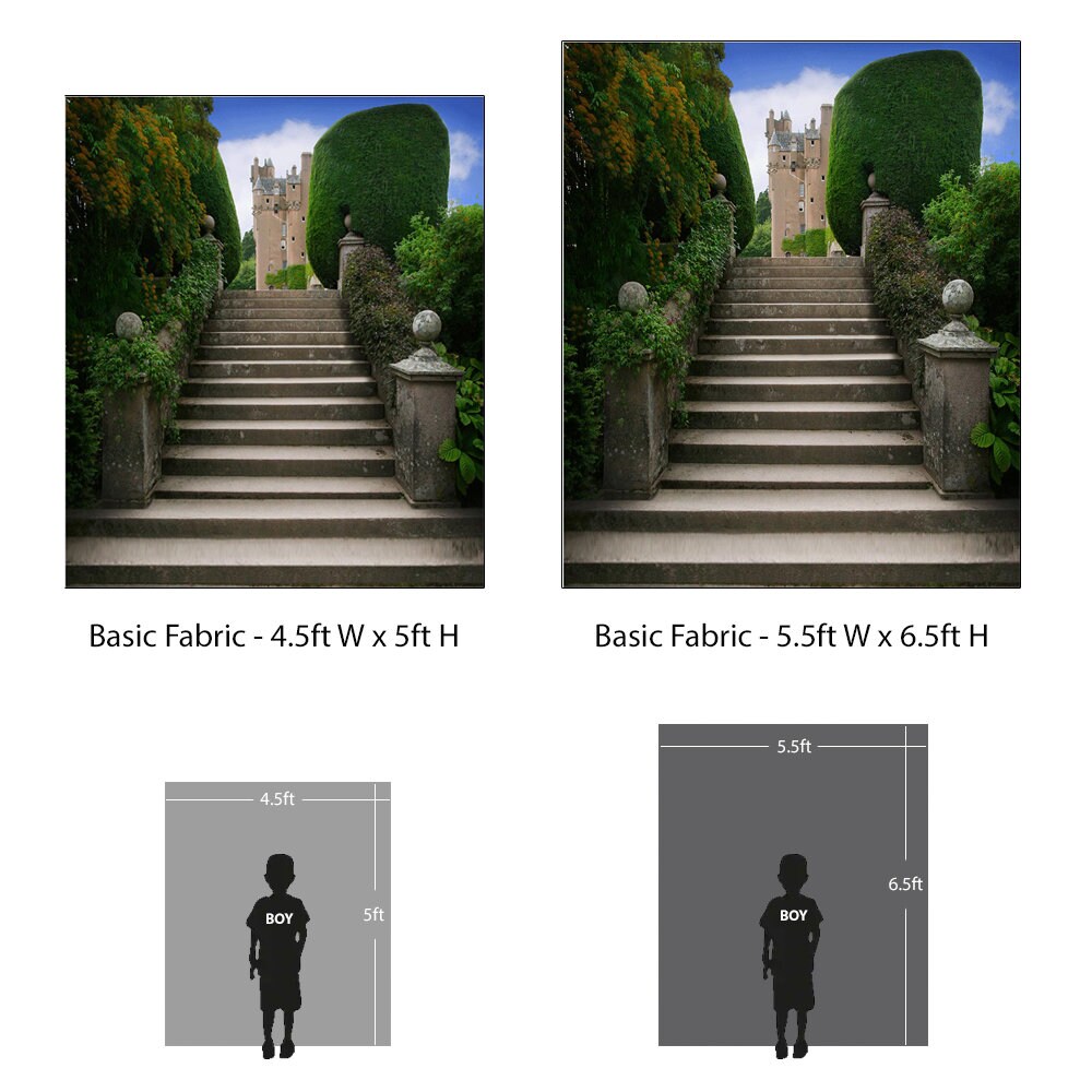 Castle Steps Cinderella Backdrop Prince in King's Court - Etsy
