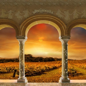 Tuscan Sunset Backdrop, Vineyard Arched Portico Prom Dance Party Decor ...