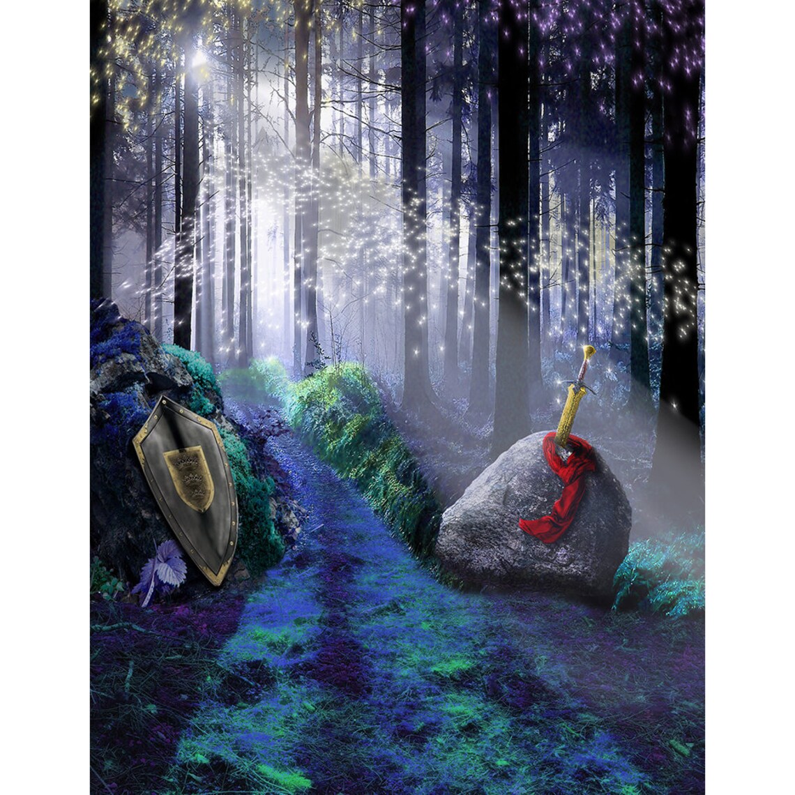 Enchanted Forest Backdrop, Sword in Stone, King Arthur Party Decor - Etsy