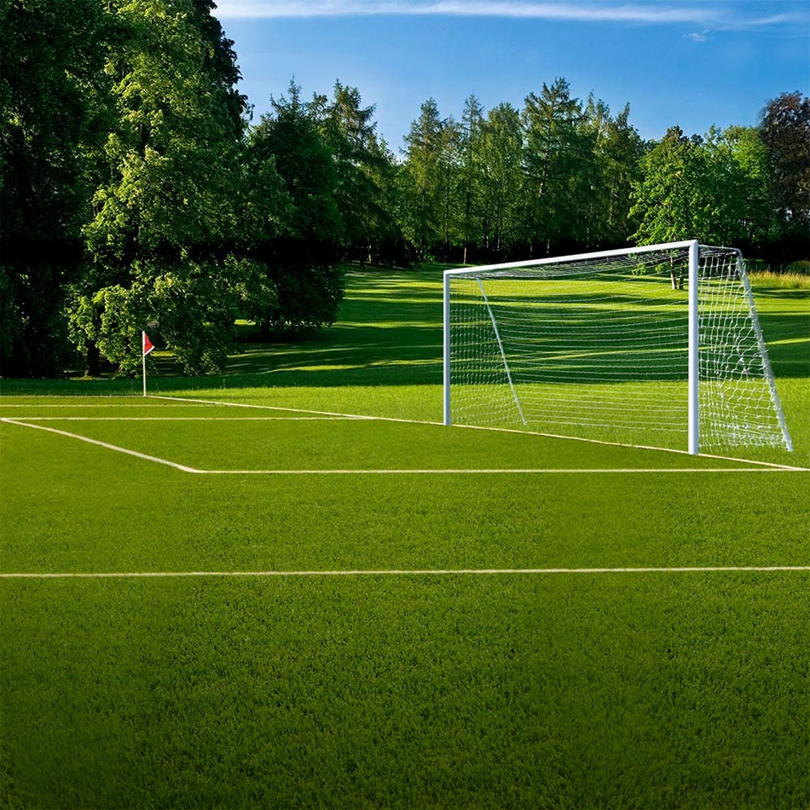 Soccer Park Backdrop Football Field Backdrop Goal Post - Etsy