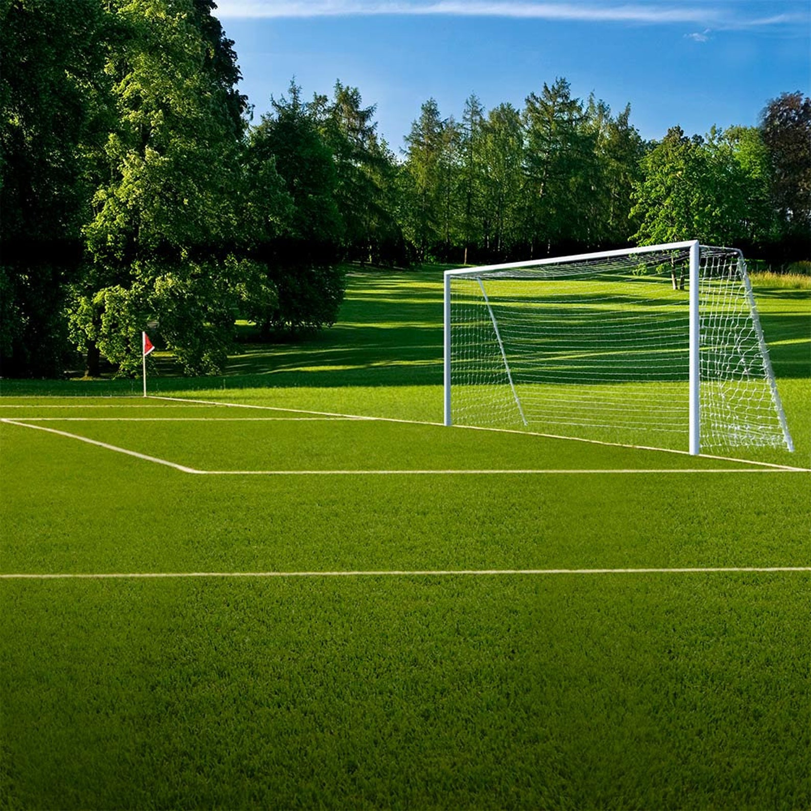 Soccer Park Backdrop Football Field Backdrop Goal Post - Etsy