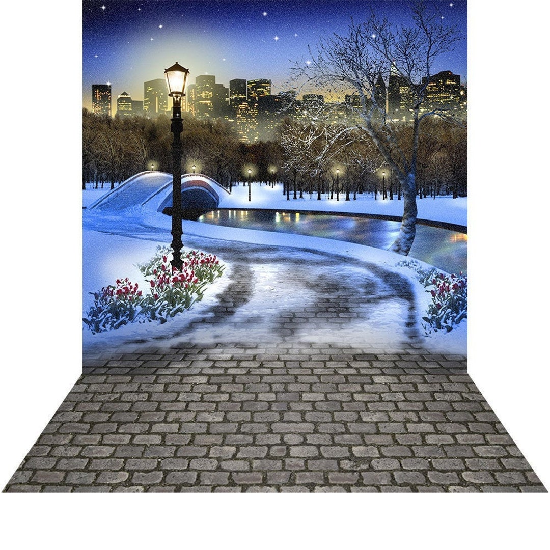Winter City Holiday Decor Christmas Lights Party Photo Backdrop, New ...
