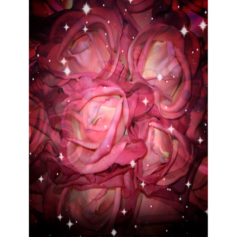 Roses Backdrop Rosas Rojas Photo Prop Red Flower Birthday - Etsy