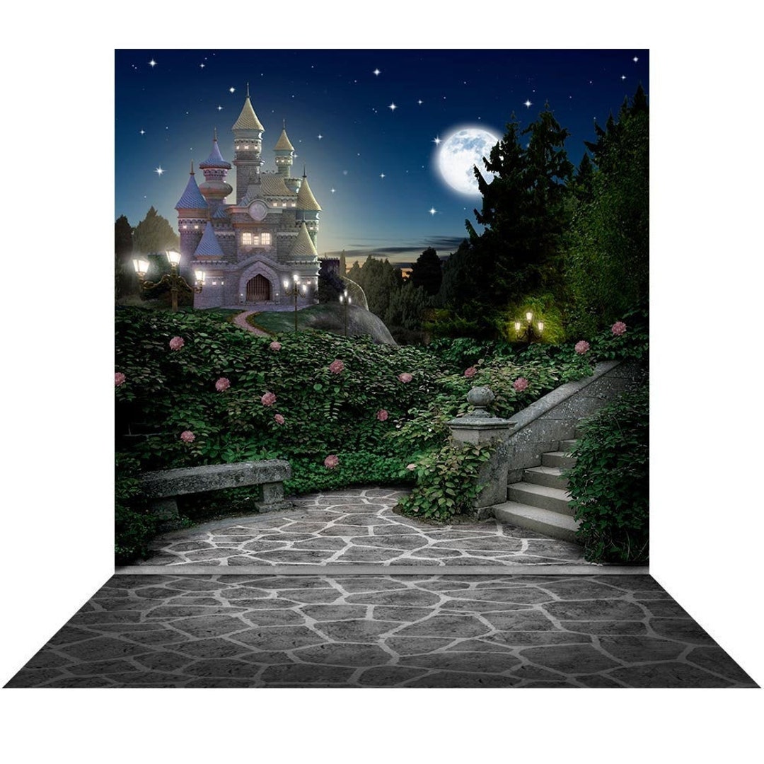 Castle in Magic Kingdom Backdrop With Terrace, Full Moon Sword in the ...