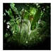 Rain Forest Backdrop Tarzan Backdrop Jungle Backdrop Rain Forest Palm ...
