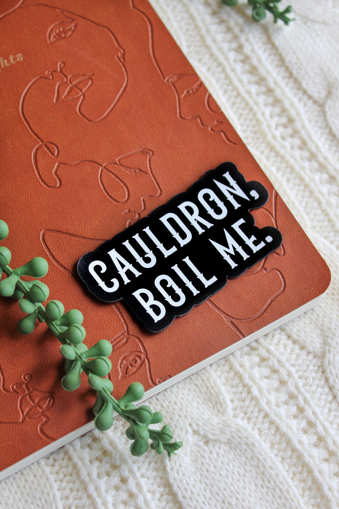 Cauldron Boil Me Magnet | ACOTAR Magnet | Bookish Locker Decorations ...