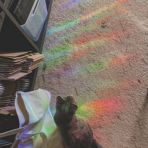 Celestial Serpent Suncatcher Window Sticker | Magical Rainbow Maker ...