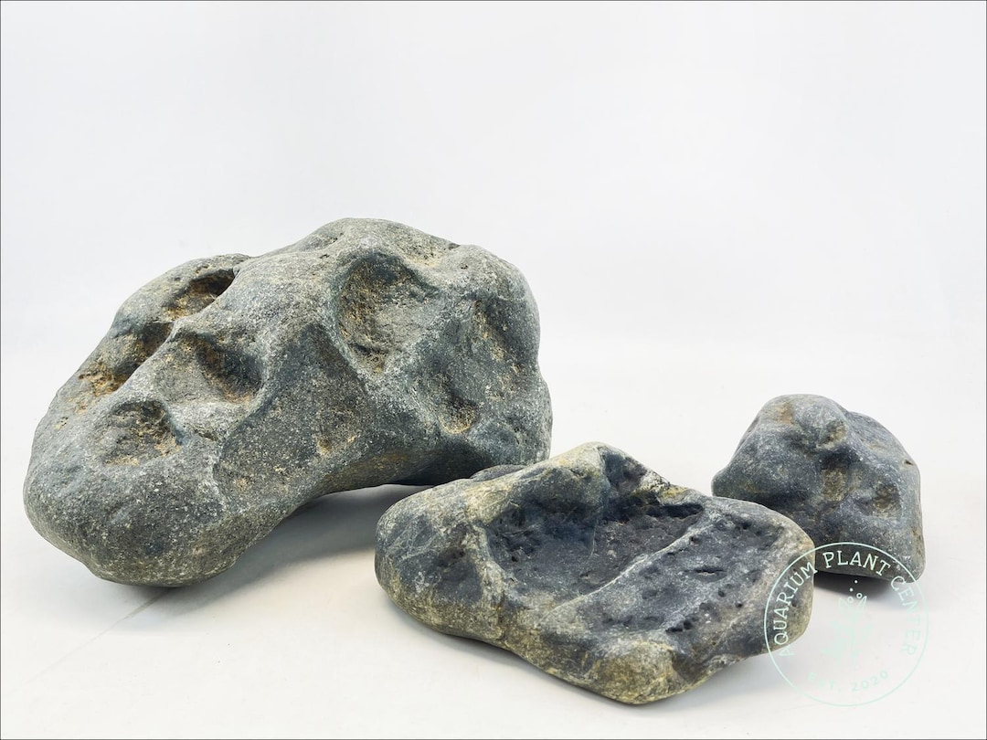 Hakkai Stone / Pahai Stone / Planted Aquarium / Decoration / Hardscape ...