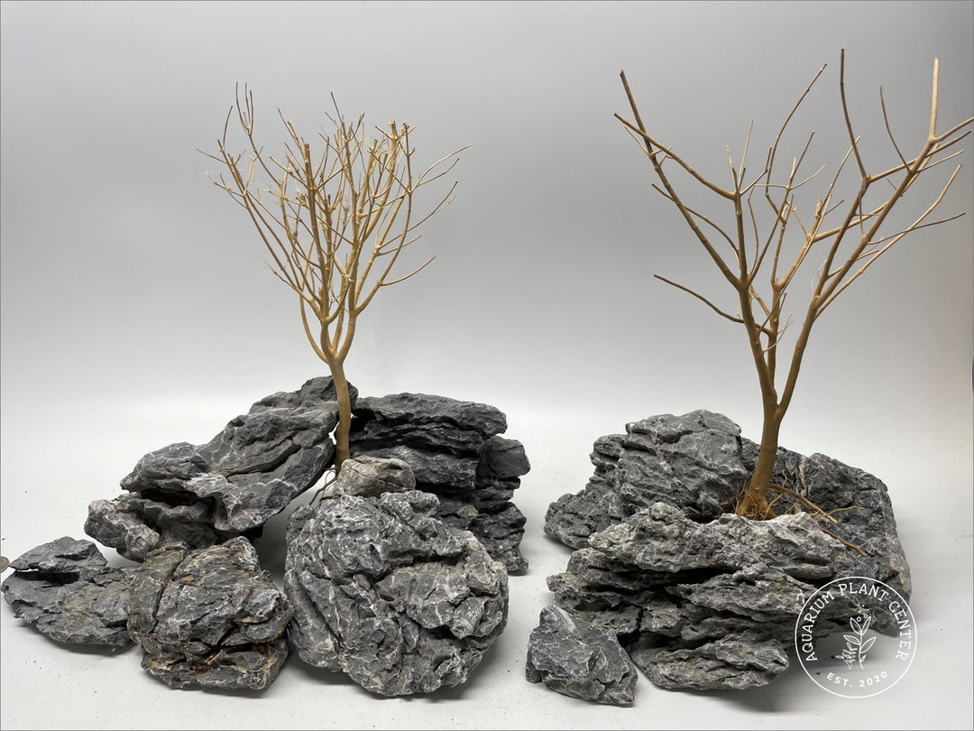 Premium Seiryu Stone / Planted Aquarium / Decoration / Hardscape - Etsy