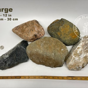 River Stone / Planted Aquarium / Decoration / Hardscape / Aquarium ...