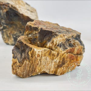 Petrified Wood Stone / Planted Aquarium / Decoration / Hardscape ...