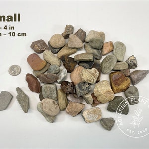 River Stone / Planted Aquarium / Decoration / Hardscape / Aquarium ...