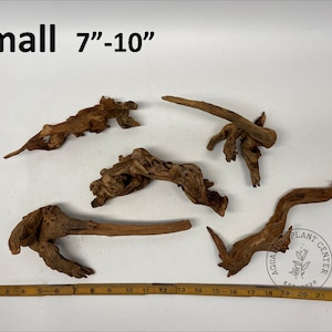 Bog Wood / Aquarium Décor / Terrarium / Reptile Tank / Aquascaping ...