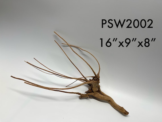 Medium Pine Spider Wood / Aquarium Décor / Terrarium / Reptile - Etsy