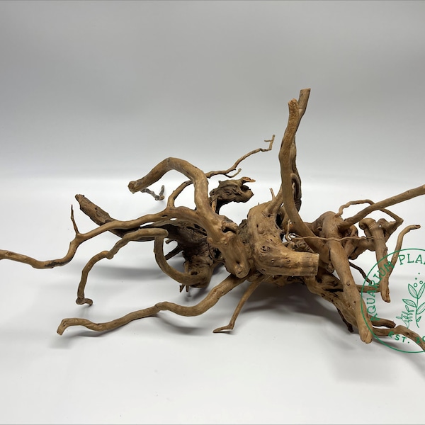 Aquarium Decor - Etsy