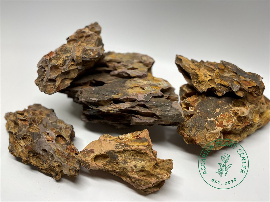 Dragon Stone ohko Stone / Planted Aquarium / Decoration / Hardscape ...
