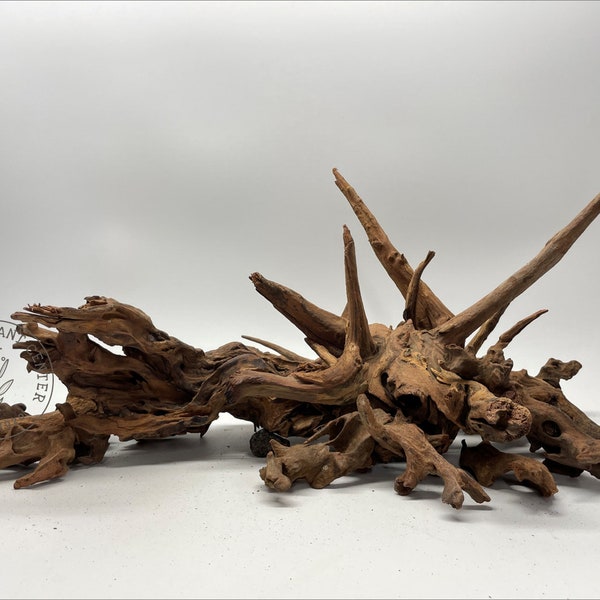 Driftwood Aquarium Decor - Etsy