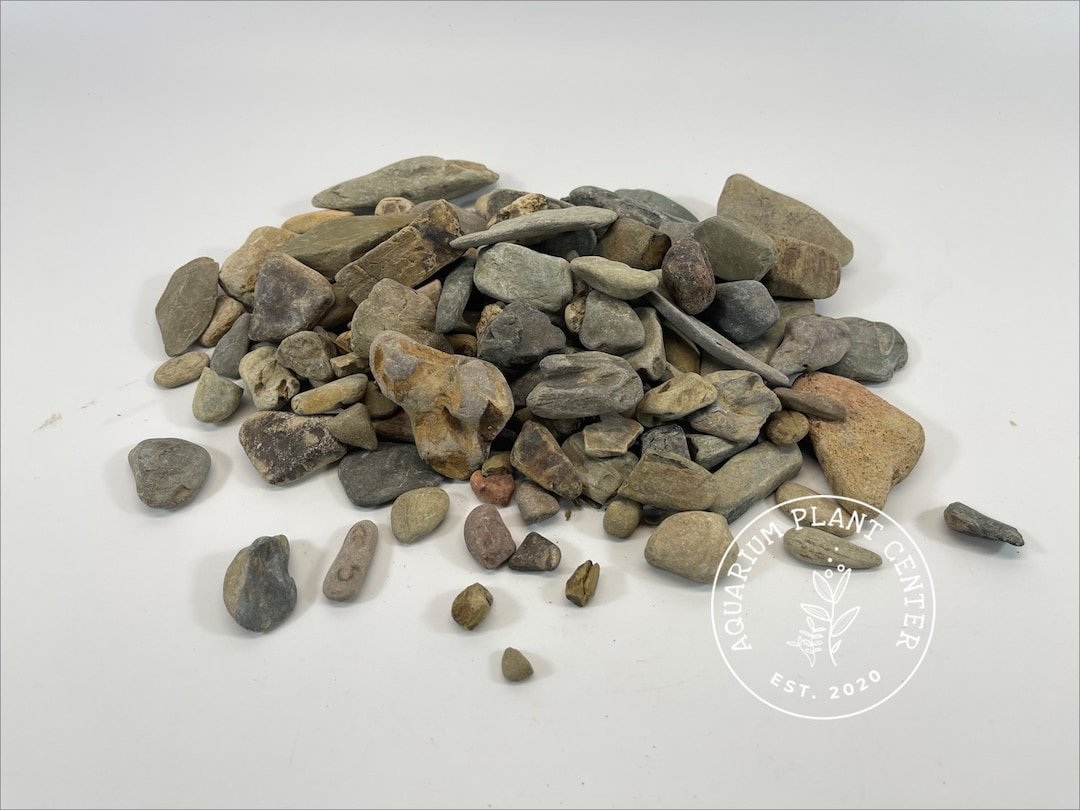 River Stone / Planted Aquarium / Decoration / Hardscape / Aquarium ...