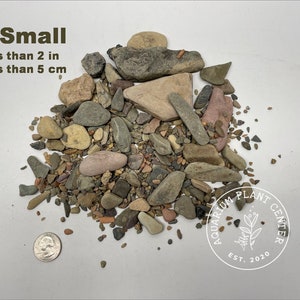 River Stone / Planted Aquarium / Decoration / Hardscape / Aquarium ...