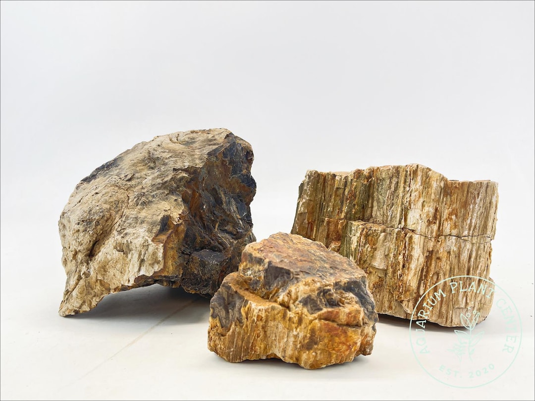 Petrified Wood Stone / Planted Aquarium / Decoration / Hardscape ...