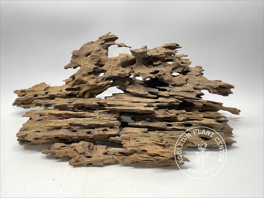 Malaysian Driftwood / Shrimp Wood / Aquarium Décor / Terrarium / Shrimp ...