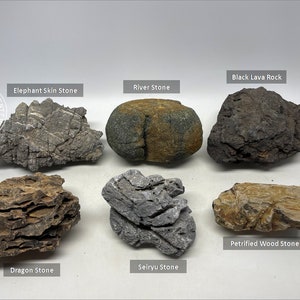 Premium Seiryu Stone / Planted Aquarium / Decoration / Hardscape - Etsy