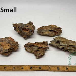 Dragon Stone (ohko Stone) / Planted Aquarium / Decoration / Hardscape ...