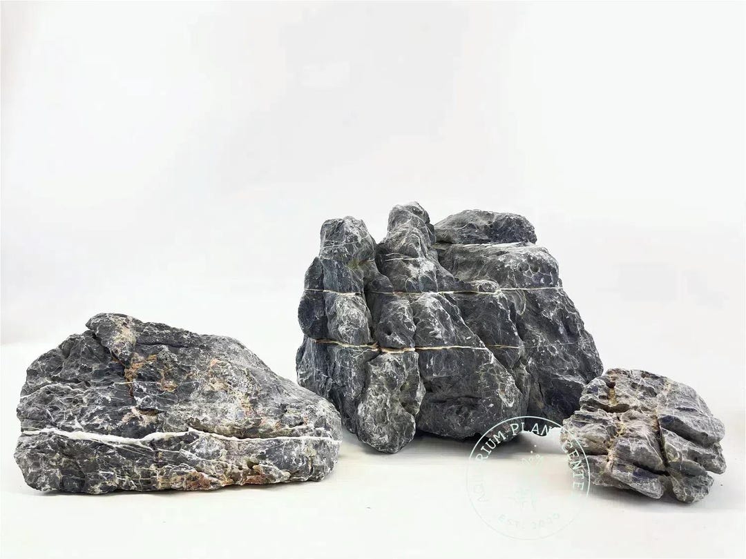 Seiryu Stone / Planted Aquarium / Decoration / Hardscape - Etsy