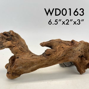 Driftwood_mini_1 of 3/ Aquarium Décor / Terrarium / Reptile Tank ...