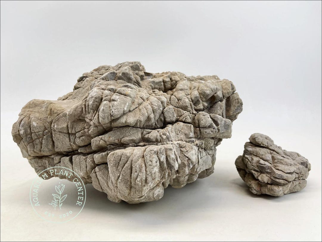 Rohan Stone / Planted Aquarium / Decoration / Hardscape - Etsy