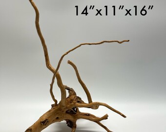 Spider Wood Aquarium | Etsy