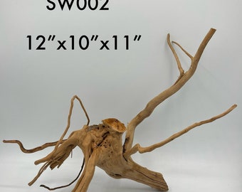 Spider Wood Aquarium | Etsy
