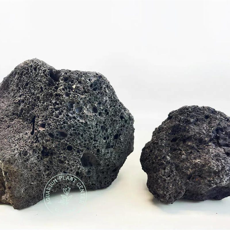 Lava Rock Stone Aquarium - Etsy