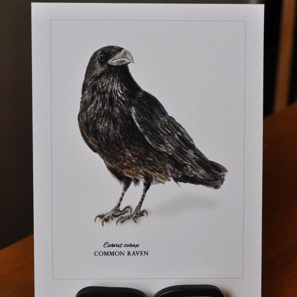 Common Raven - Etsy