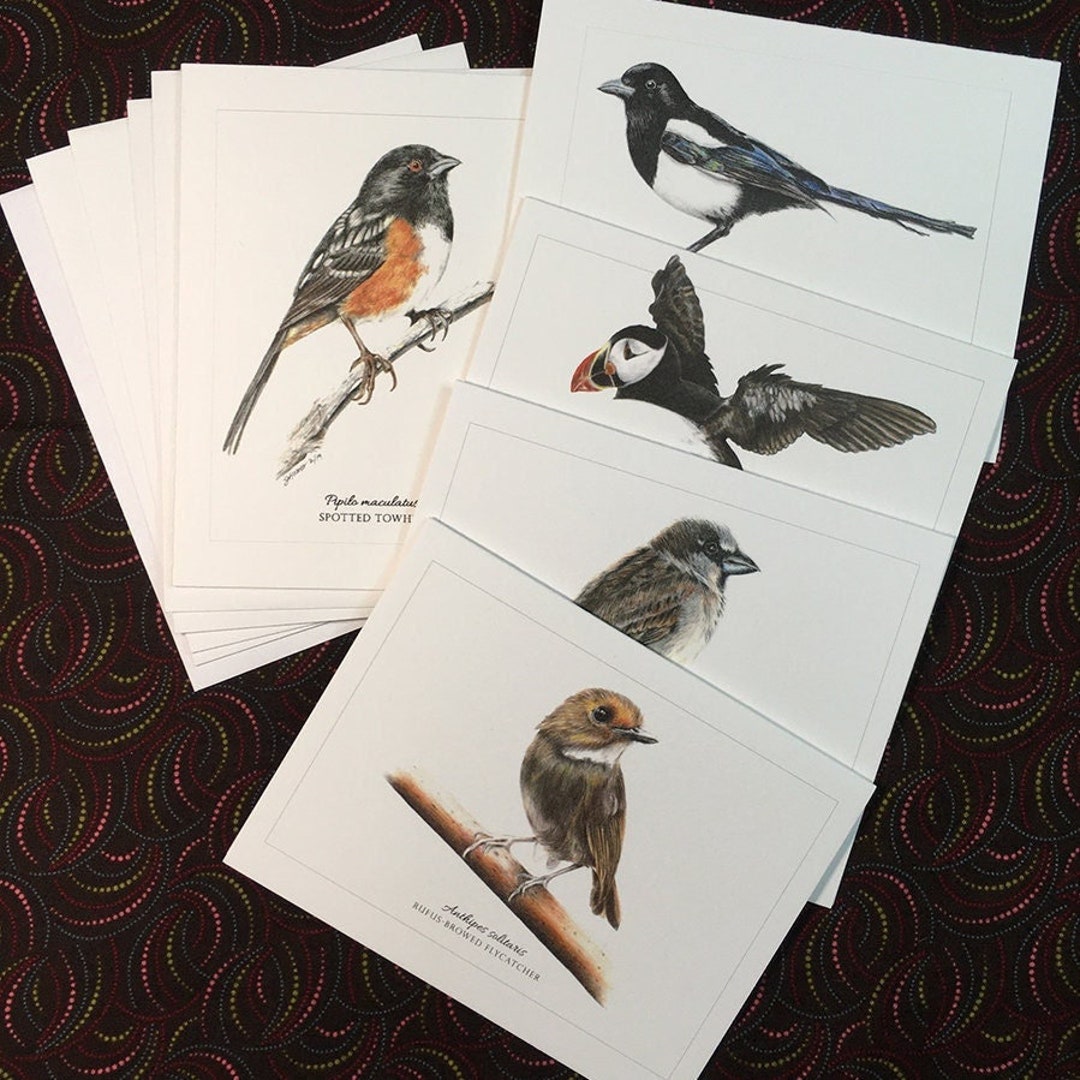 5 Bird Note Cards - Etsy
